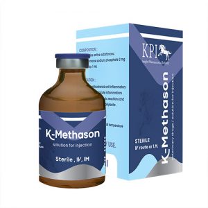 K-METHASON – KPI
