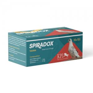 SPIRADOX – KPI