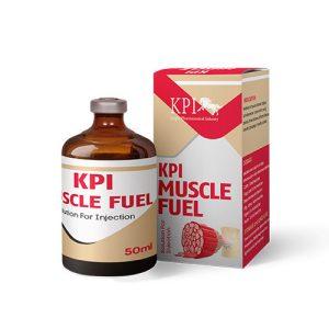 KPI MUSCLE FUEL – KPI