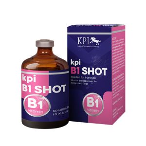 KPI B1 SHOT – KPI